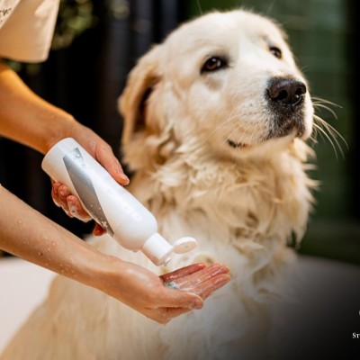 COMO TRANSFORMAR COSMÉTICOS HUMANOS PARA USO ANIMAL? - Stone Okamont ...